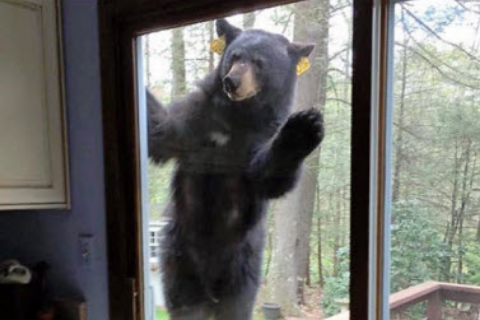 Services - Homewatch Canada