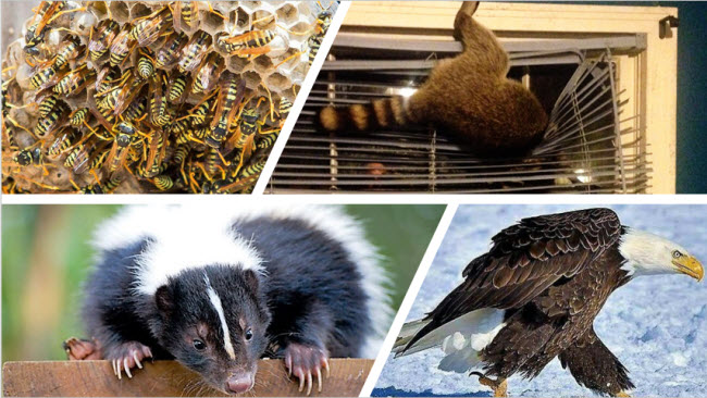 Services - Homewatch Canada